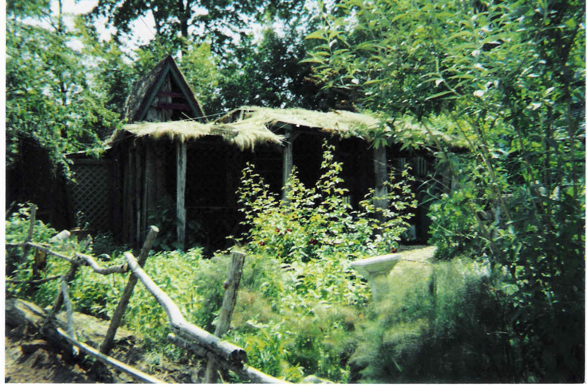 Wellcat.com – Wellcat Herbs